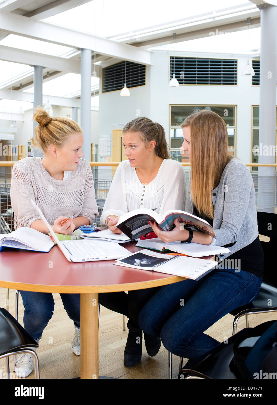 Young women studying together Stock Photo - Alamy
