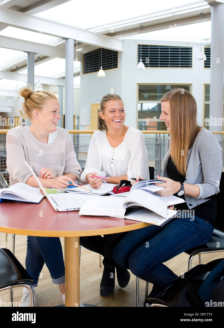 Young women studying together Stock Photo - Alamy