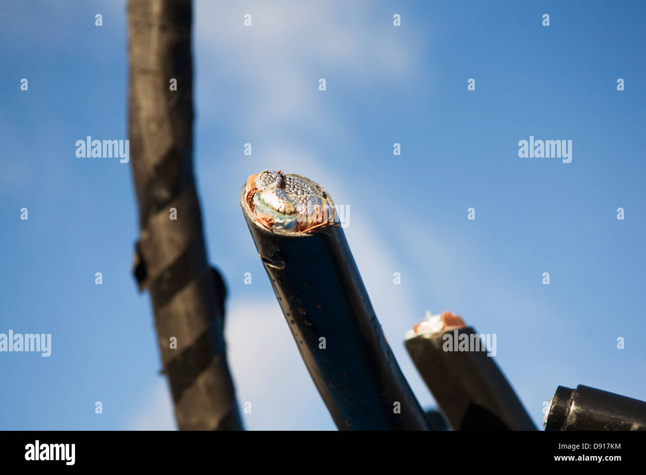 An electric cable, close-up, Sweden Stock Photo - Alamy