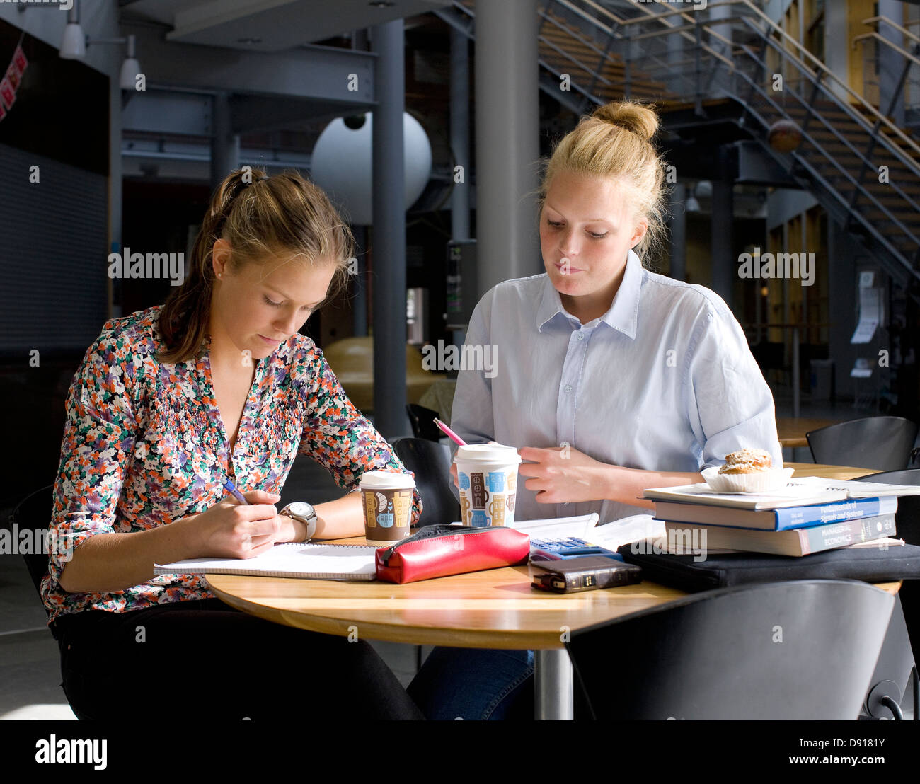 University students studying in cafe Stock Photo - Alamy