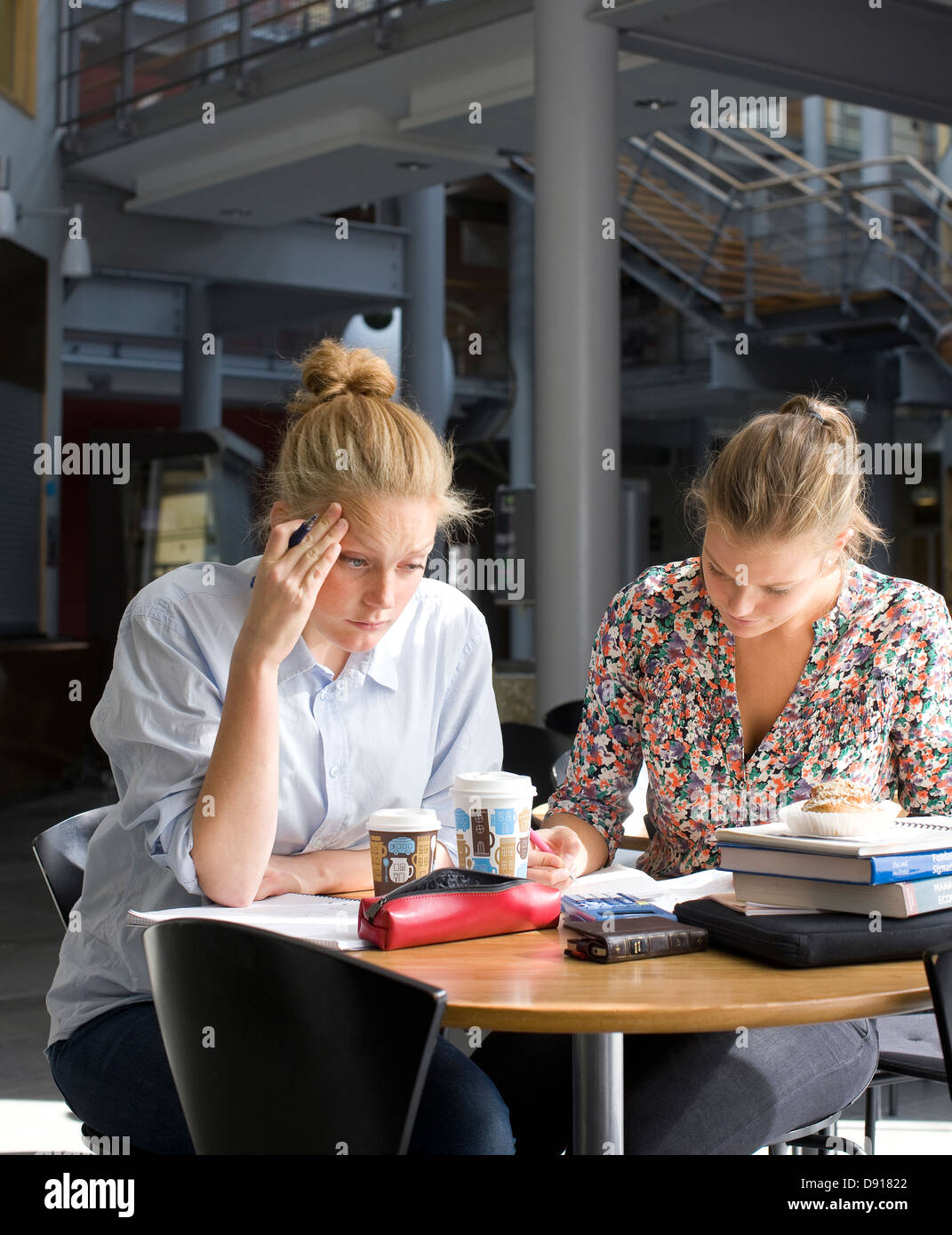 Two young women studying Stock Photo - Alamy