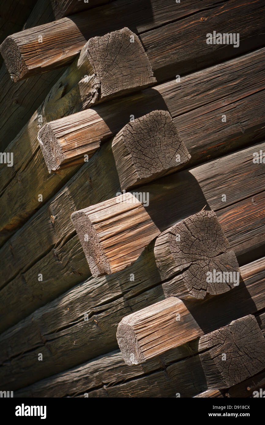 Log details hi-res stock photography and images - Alamy