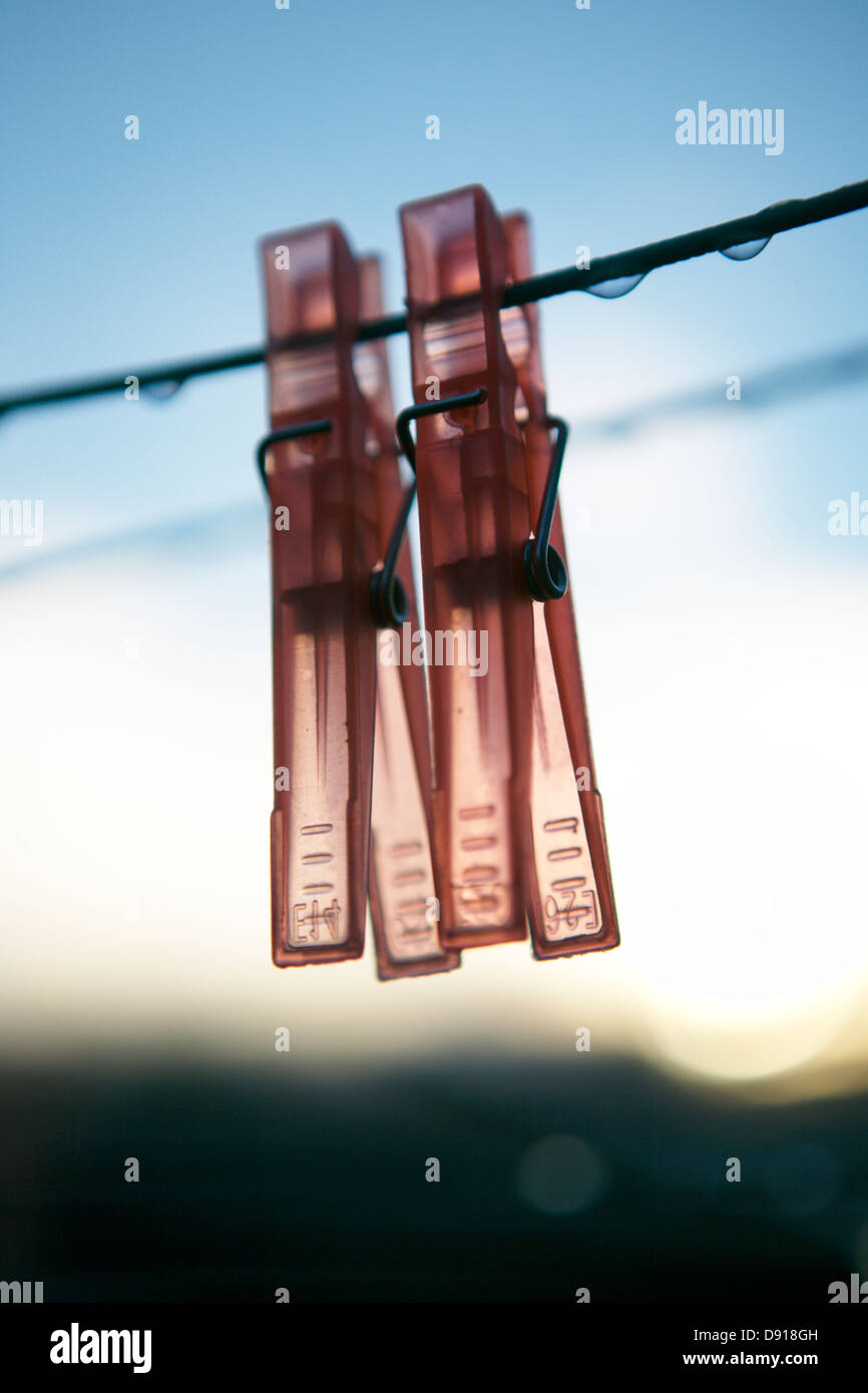 Clothes peg on clothes line, Sweden Stock Photo - Alamy