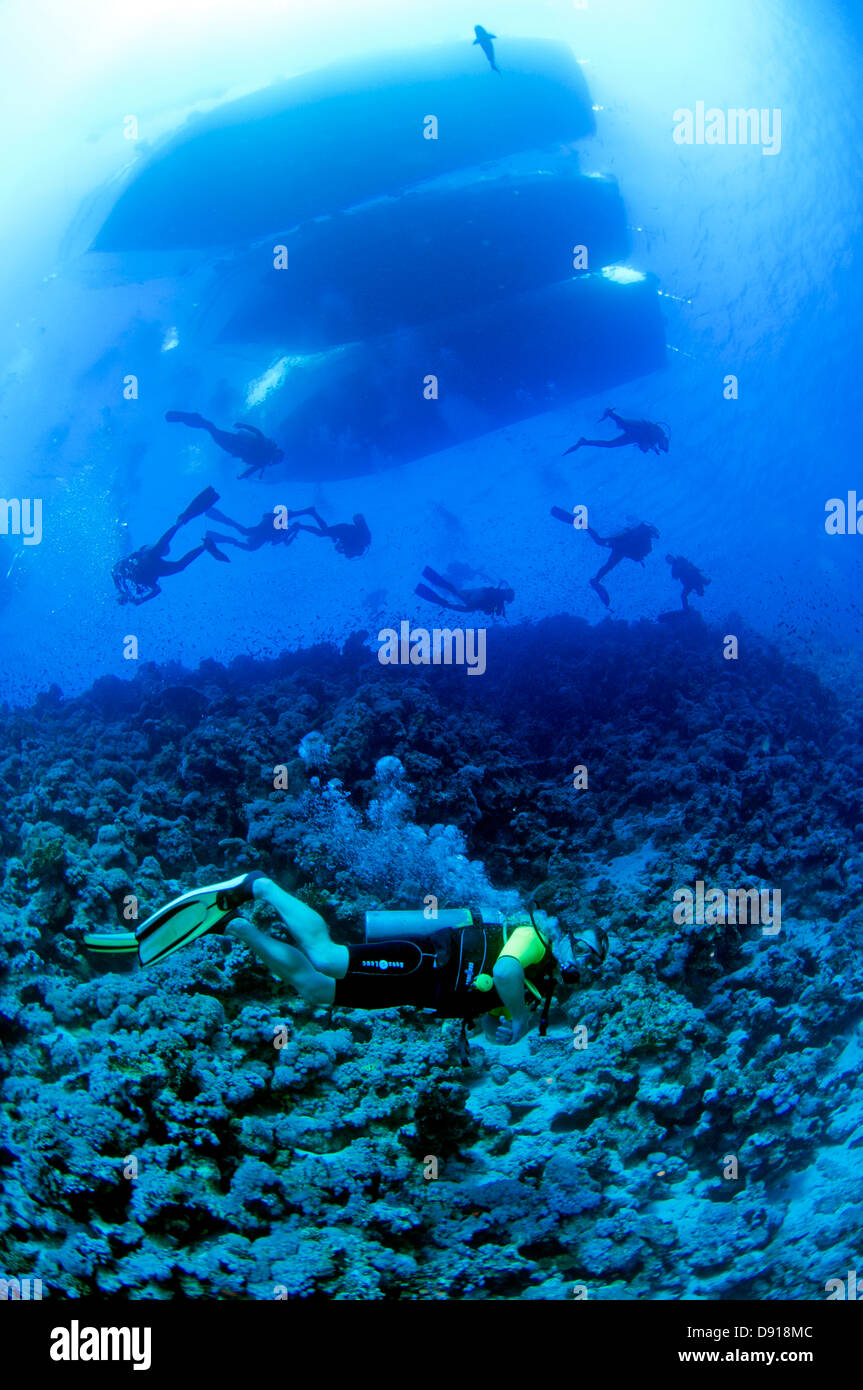 Egypt diving boat hi-res stock photography and images - Alamy