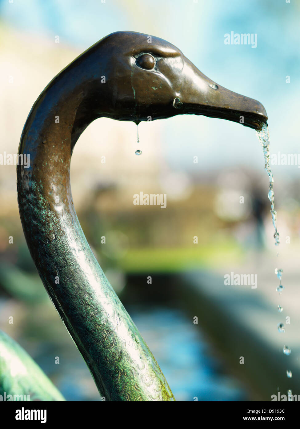 A statue of a swan, close-up Stock Photo - Alamy