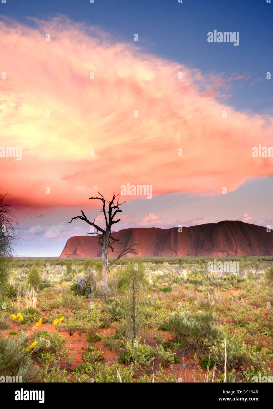 Ayres rock at sunrise Stock Photo - Alamy