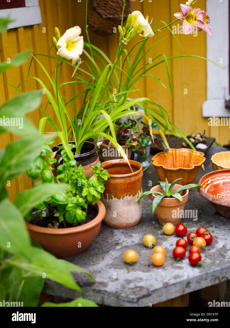 Flower pots on a table Stock Photo - Alamy