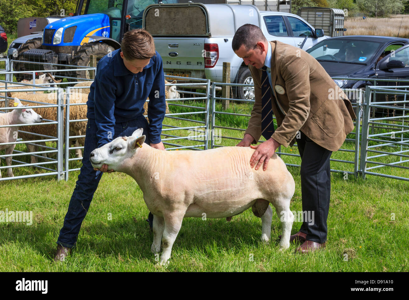 Fair judging hi-res stock photography and images - Alamy