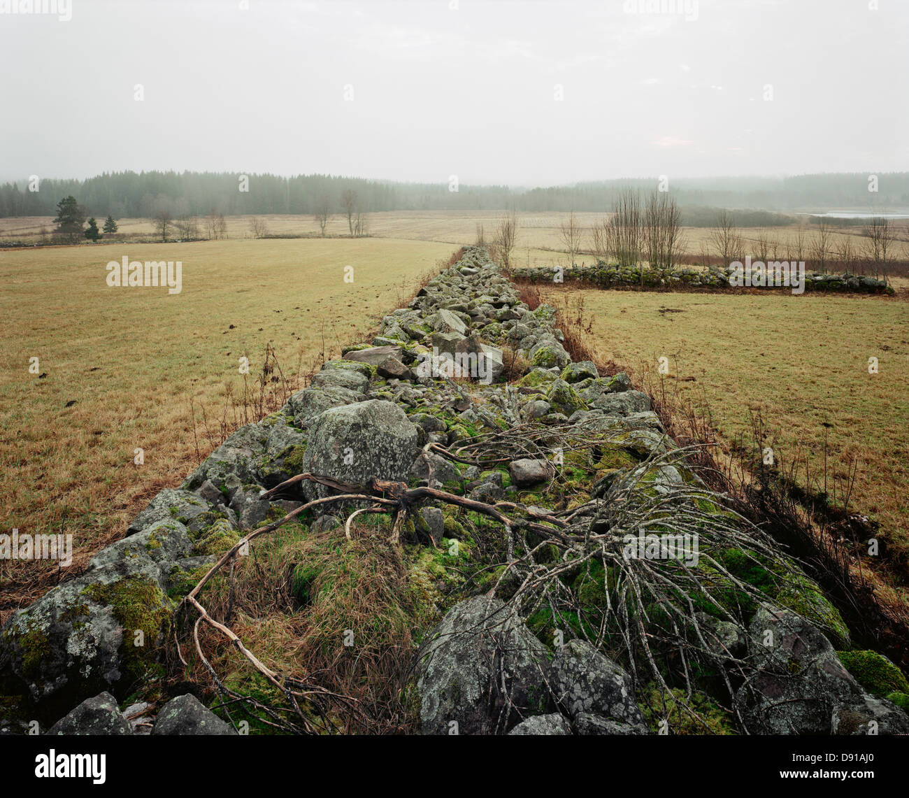 A stone wall in arable land, Sweden Stock Photo - Alamy