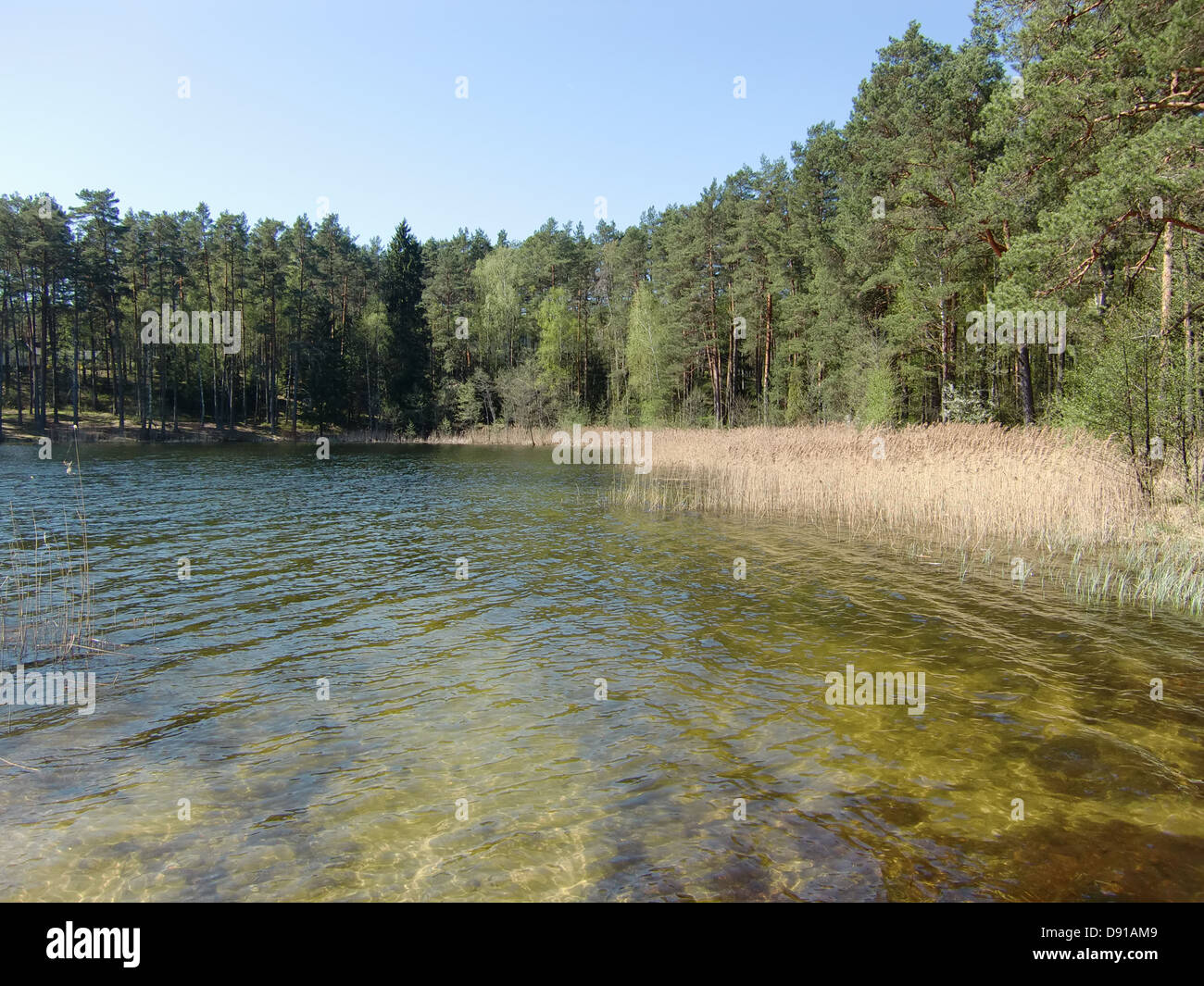 Beautiful lake (Republic of Lithuania Stock Photo - Alamy