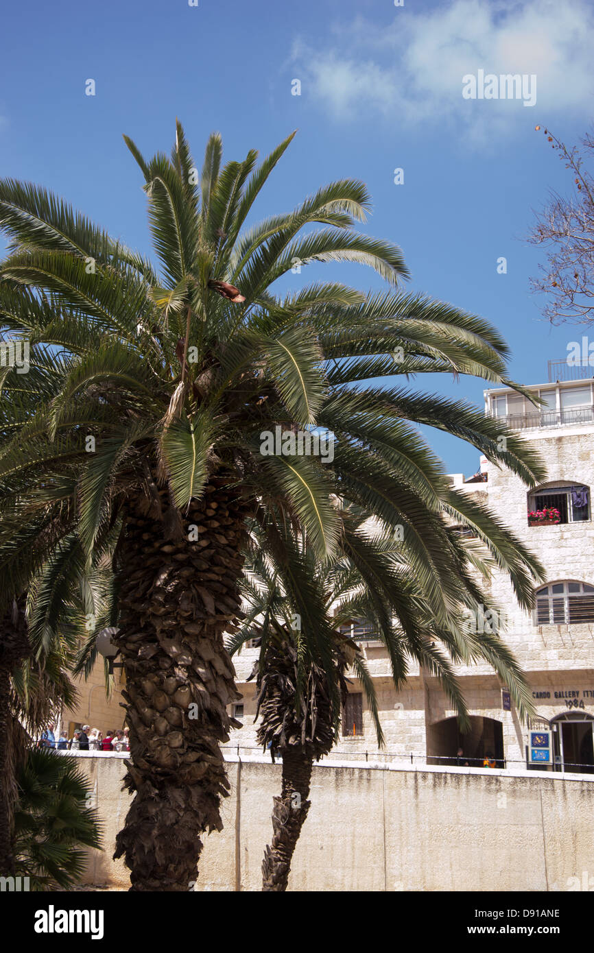 Jerusalem, inside the Old City,Jerusalem Stock Photo - Alamy