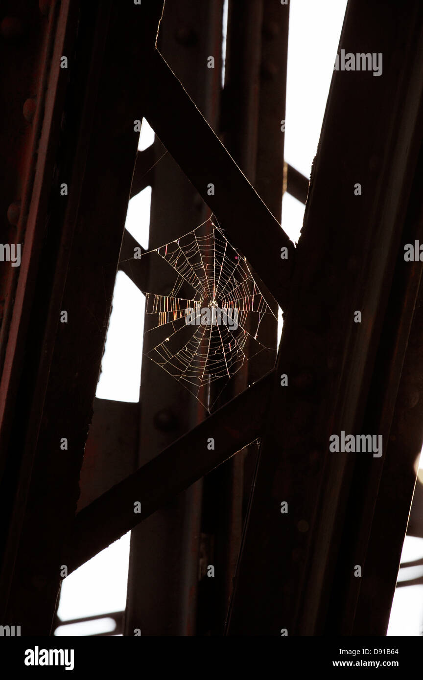 Cobweb bridge hi-res stock photography and images - Alamy