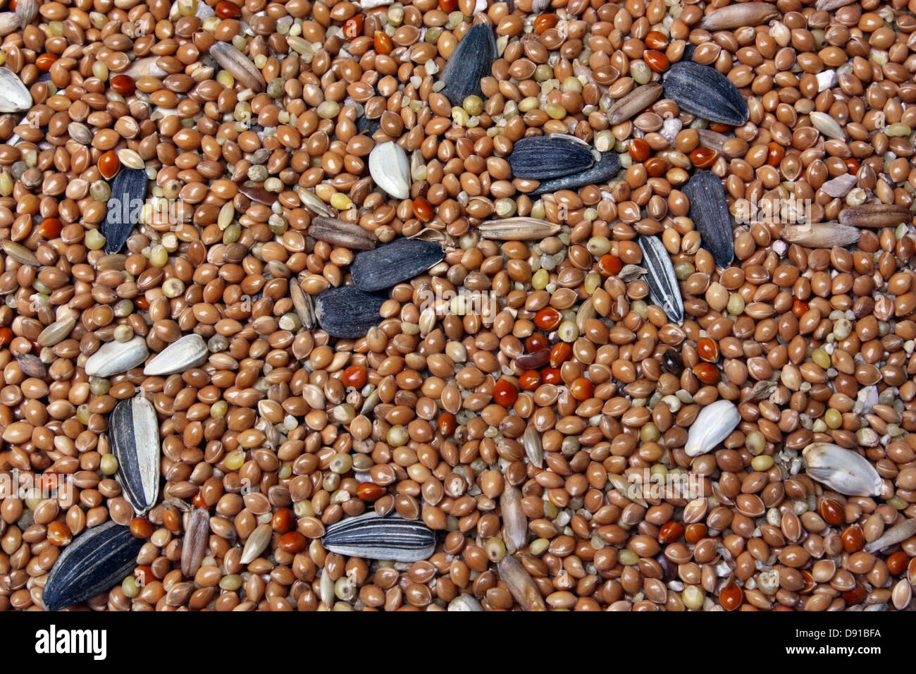 Seed mixtures hi-res stock photography and images - Alamy