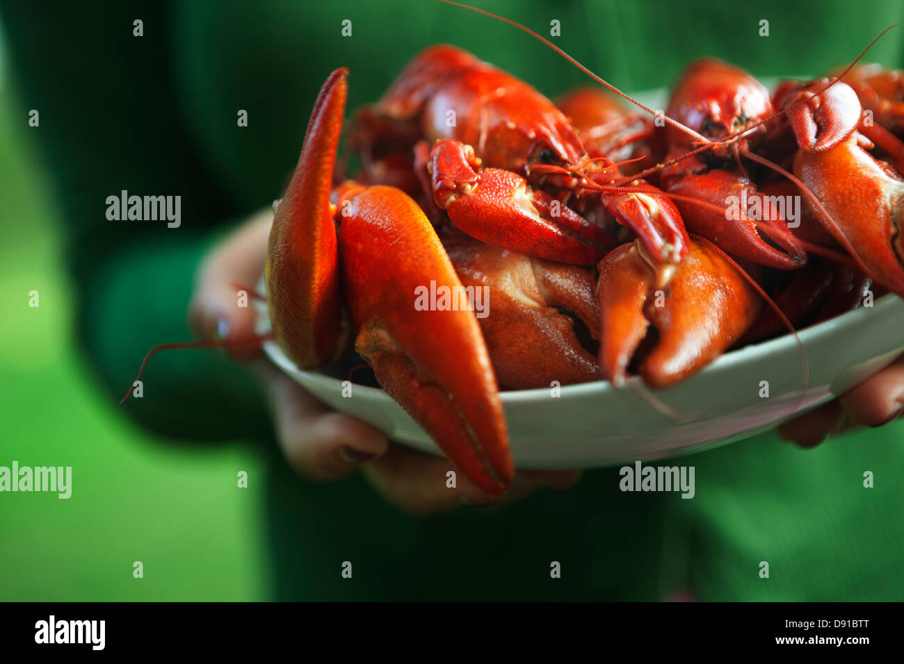 A plate of crayfish, Sweden Stock Photo - Alamy