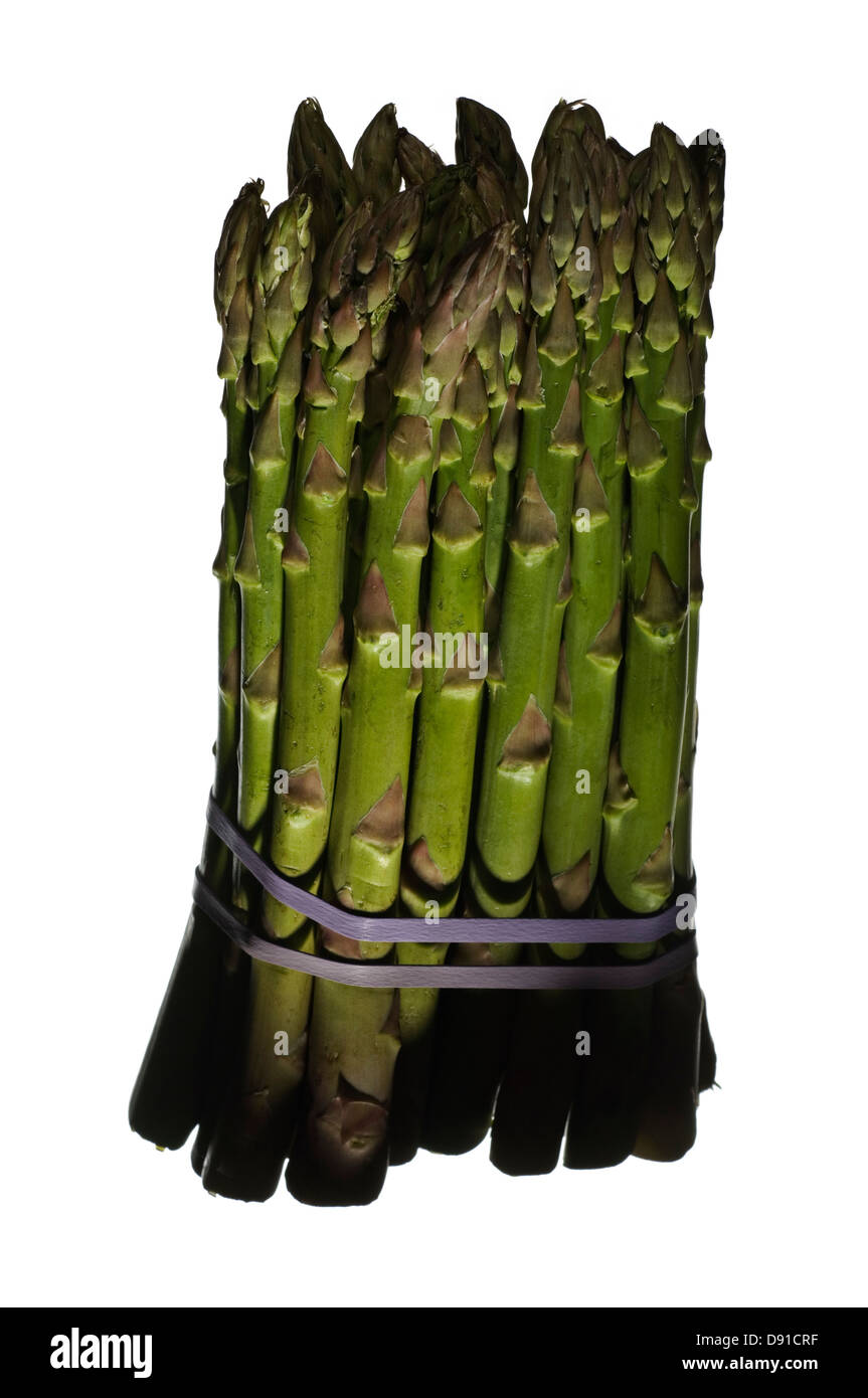 Bundle of Asparagus against white background Stock Photo - Alamy