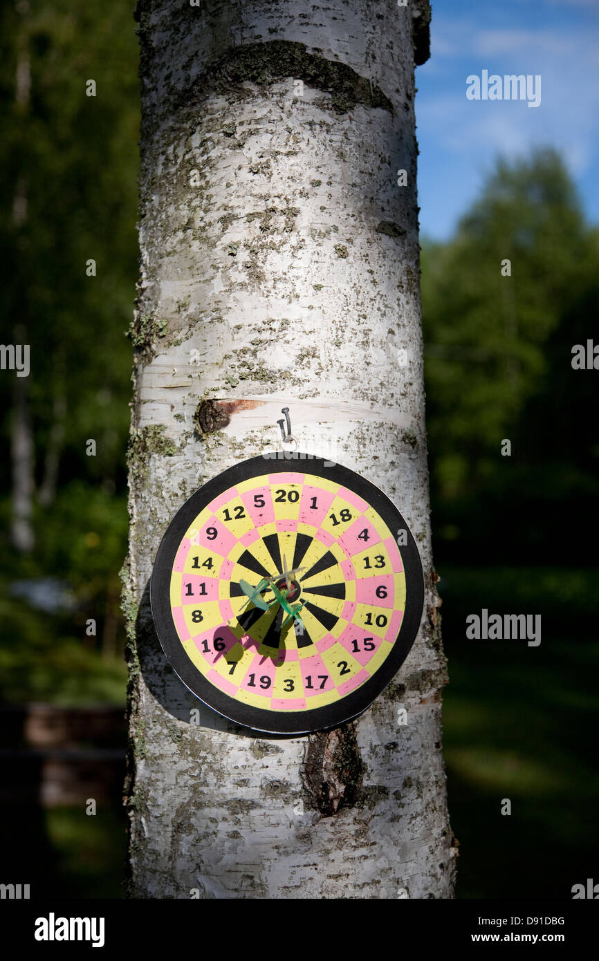 Board Tree High Resolution Stock Photography and Images - Alamy