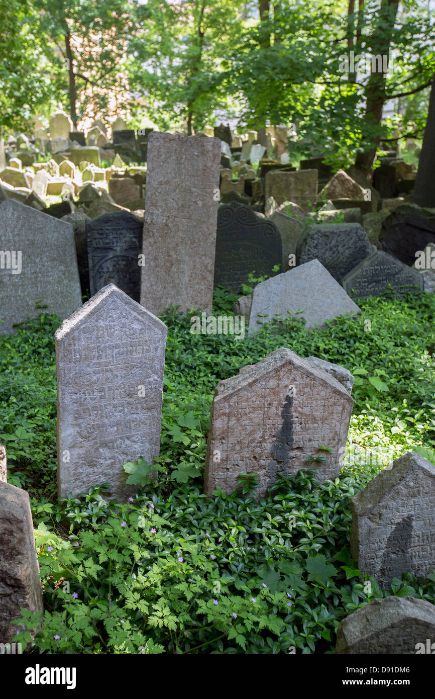 Green old jewish cemetery hi-res stock photography and images - Alamy