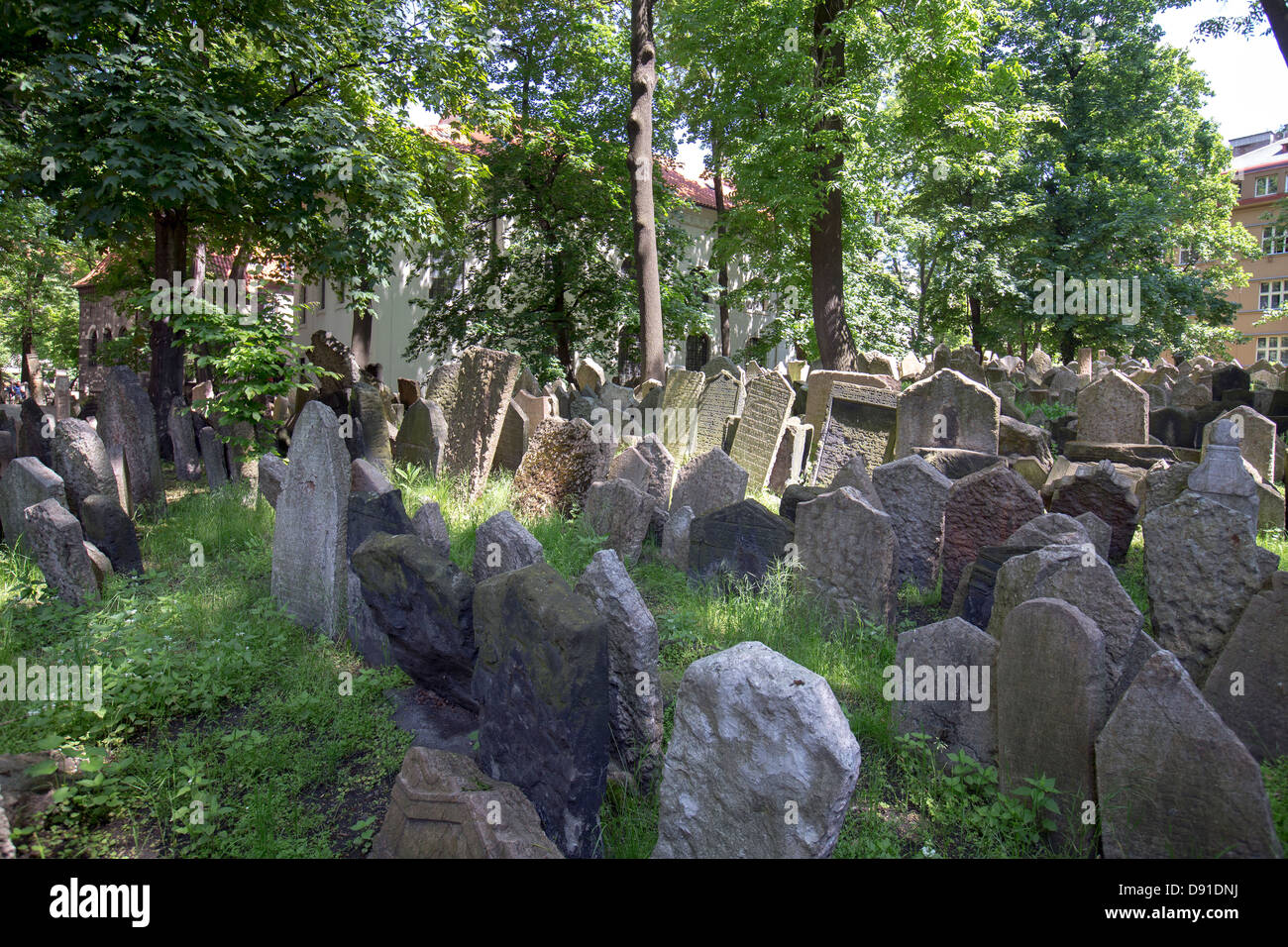 Old jewish cemetery prague hi-res stock photography and images - Alamy