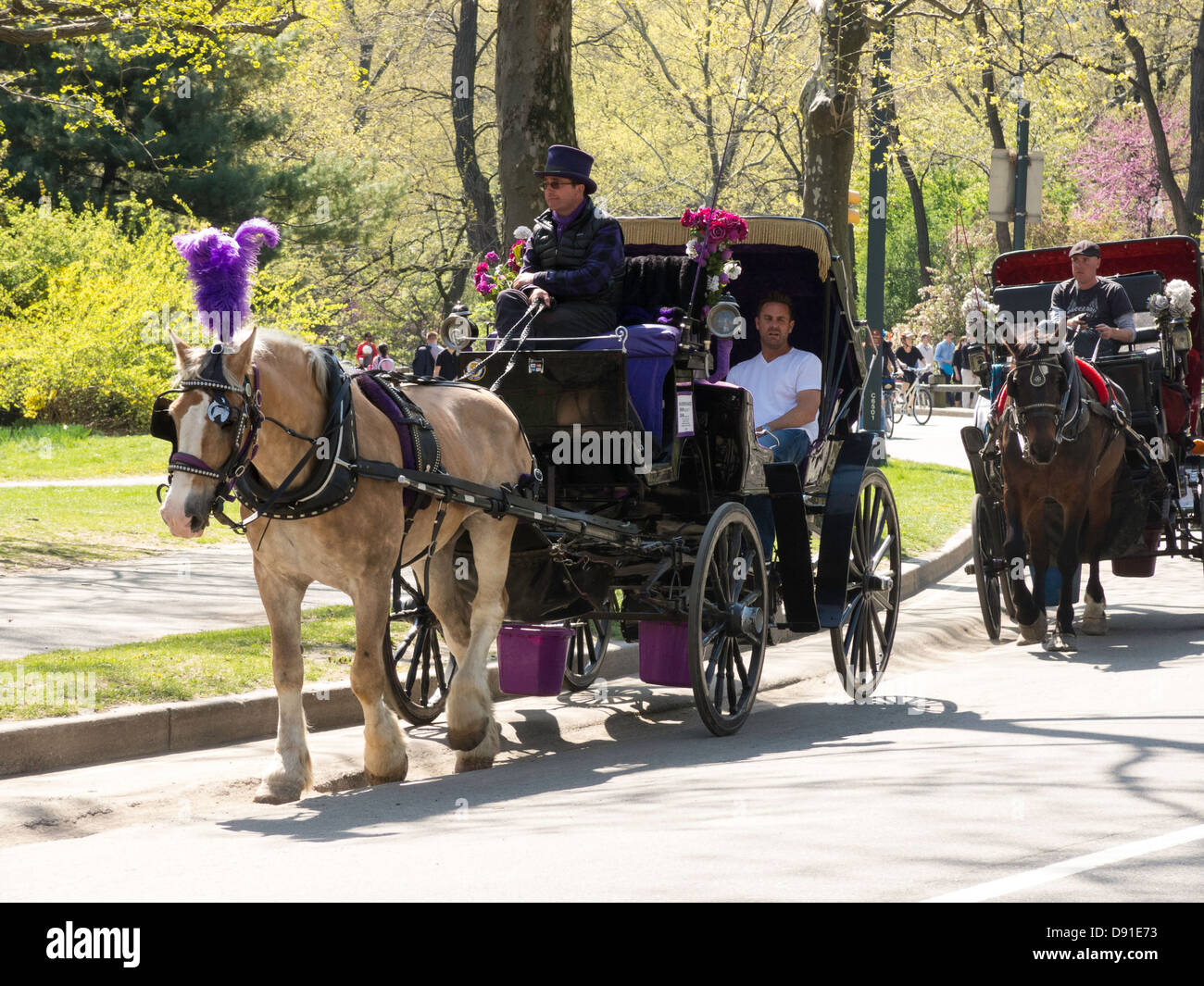 Horse drawn carriage driver hi-res stock photography and images - Alamy