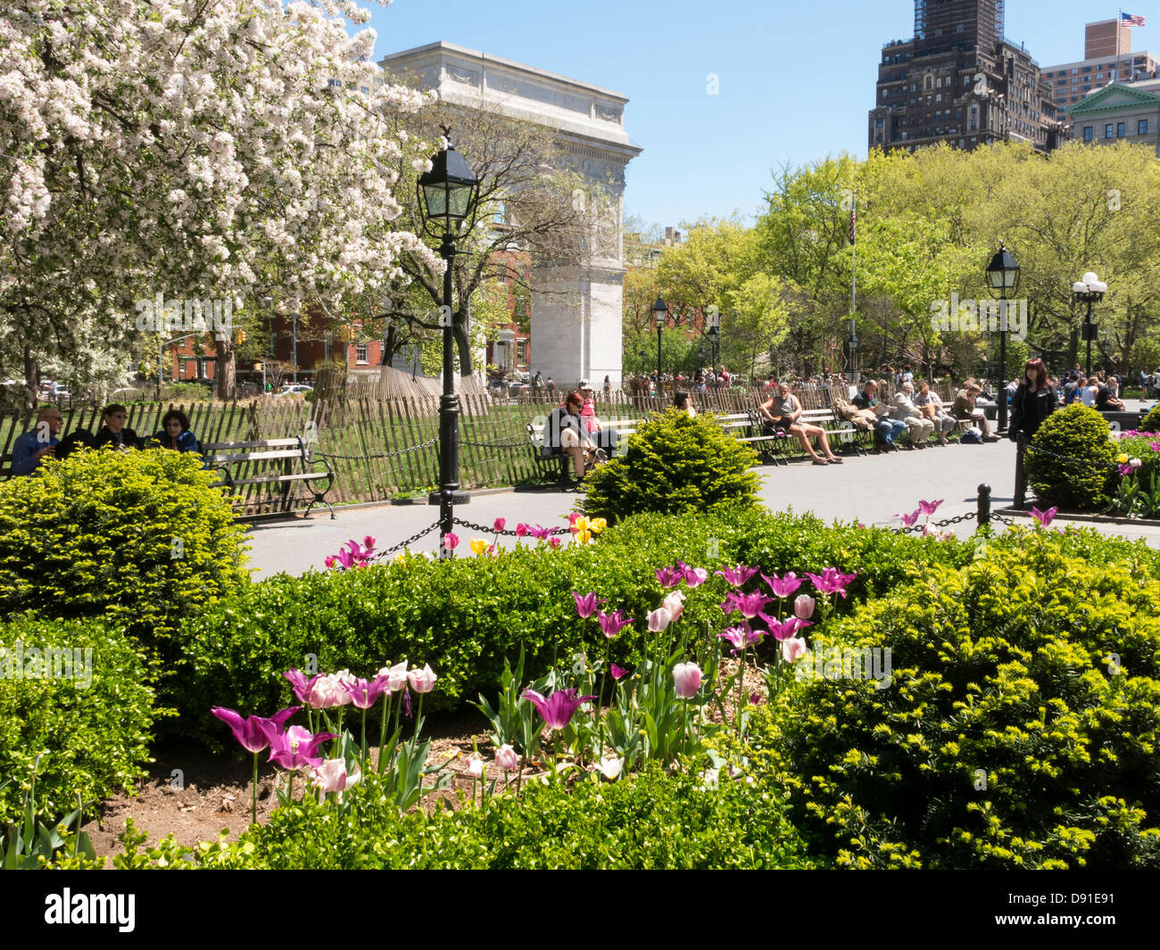 Springtime,Washington Square Park, NYC Stock Photo - Alamy