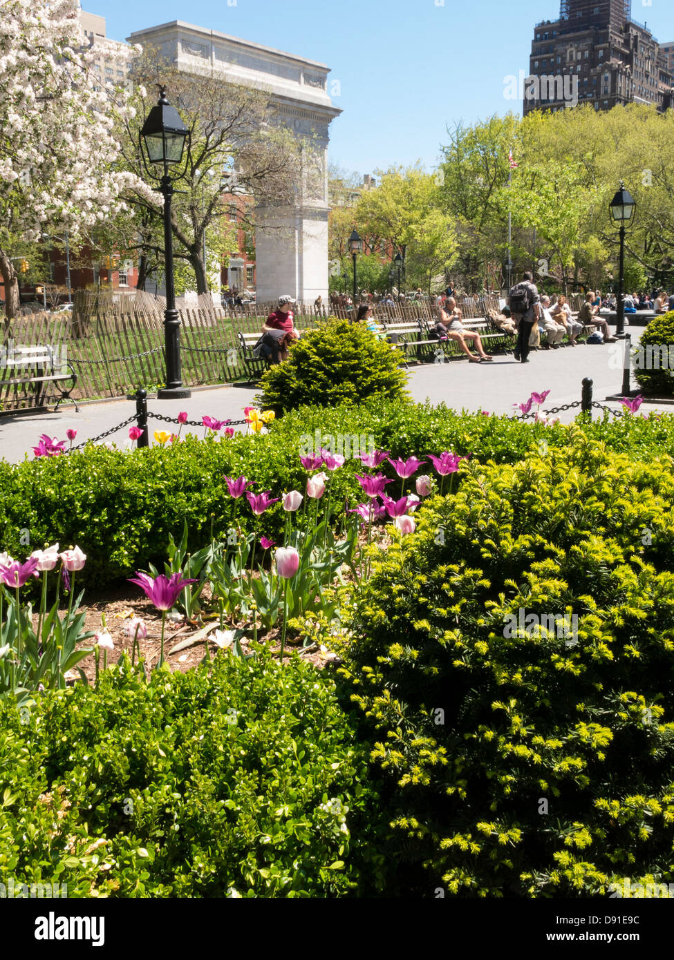 Springtime,Washington Square Park, NYC Stock Photo - Alamy