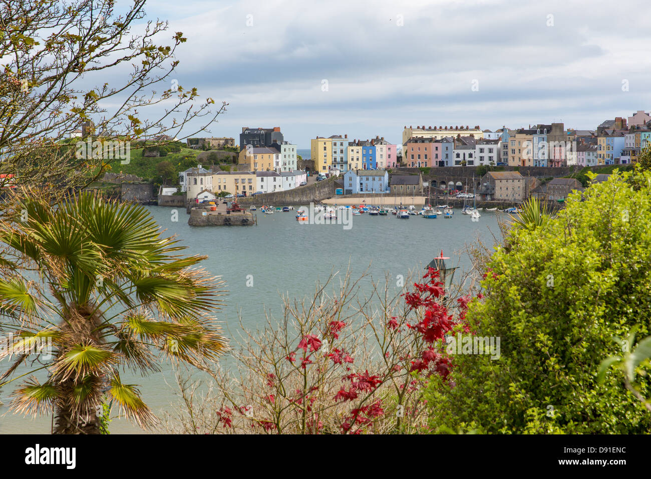 Tenby Pembrokeshire Wales historic Welsh town with pastel coloured ...