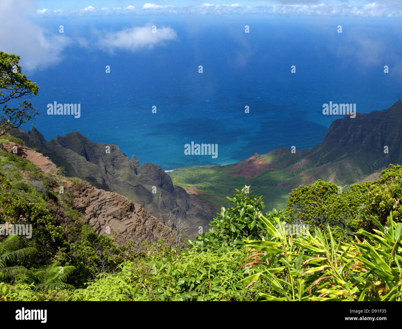 This view of Kauai, Hawaii, captures the island’s natural beauty, with ...