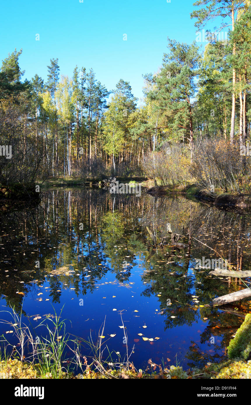 Zhitomir region hi-res stock photography and images - Alamy