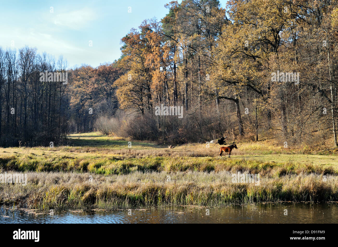 Ukraine the shoreline hi-res stock photography and images - Alamy