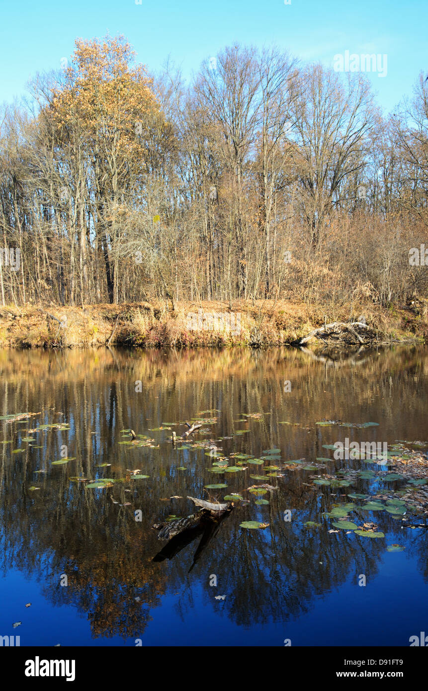 Autumn river, Ukraine Stock Photo - Alamy