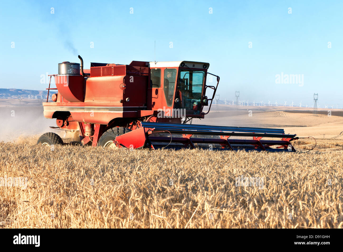 Combine harvester harvesting grain field hi-res stock photography and ...