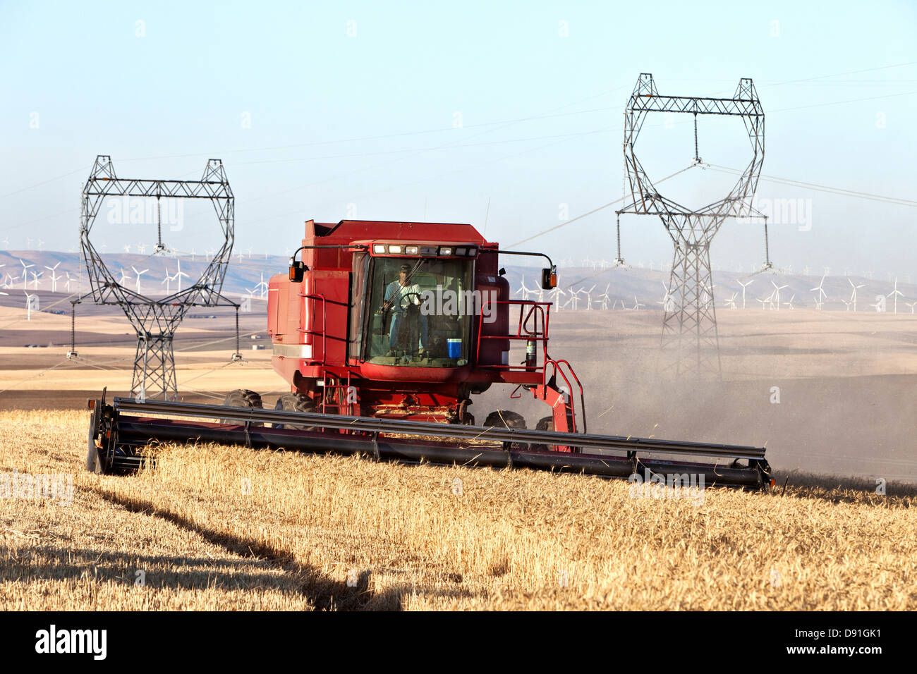 Combine harvesting wheat Stock Photo - Alamy