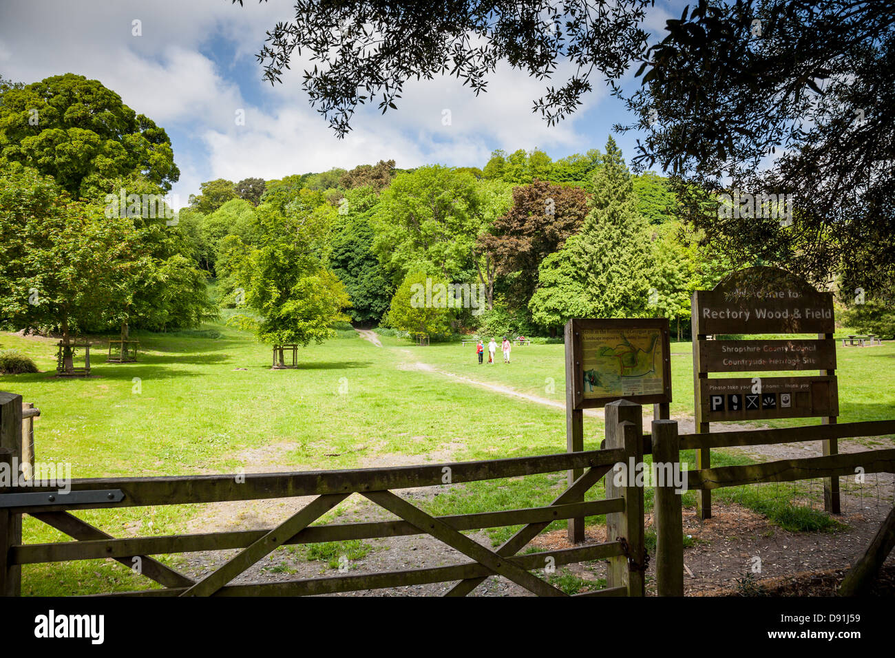 Rectory Woods and Playing Fields, Church Stretton, Shropshire Stock ...
