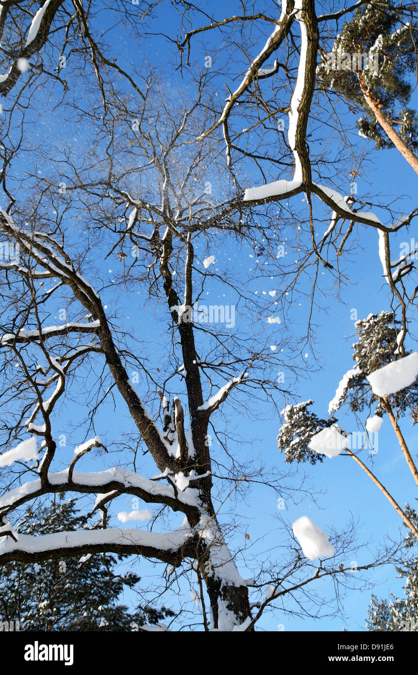 Flakes falling from sky hi-res stock photography and images - Alamy