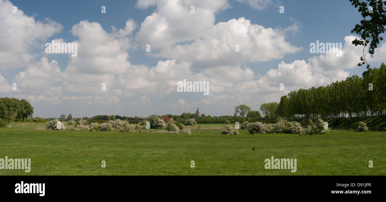 Flowering hawthorn around the village of Nisse. Zuid Beveland, Zeeland ...