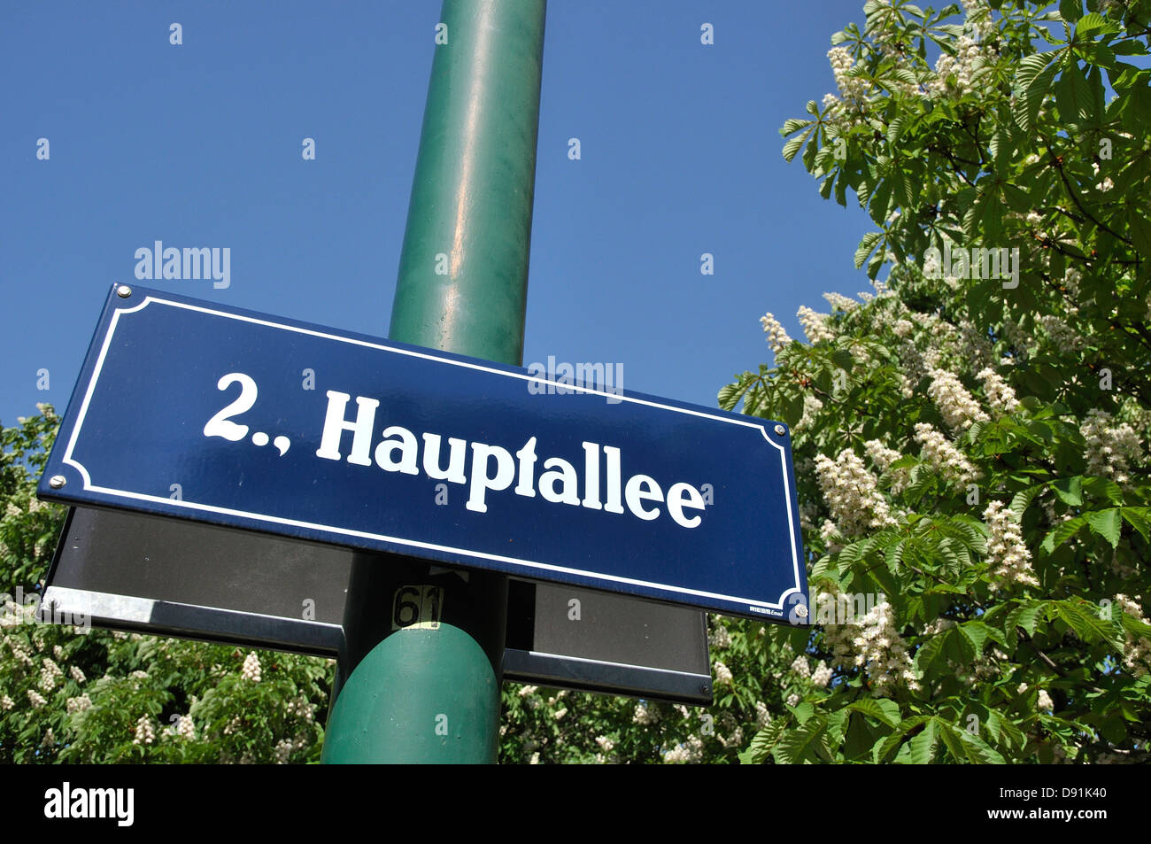 Main avenue street sign Stock Photo - Alamy