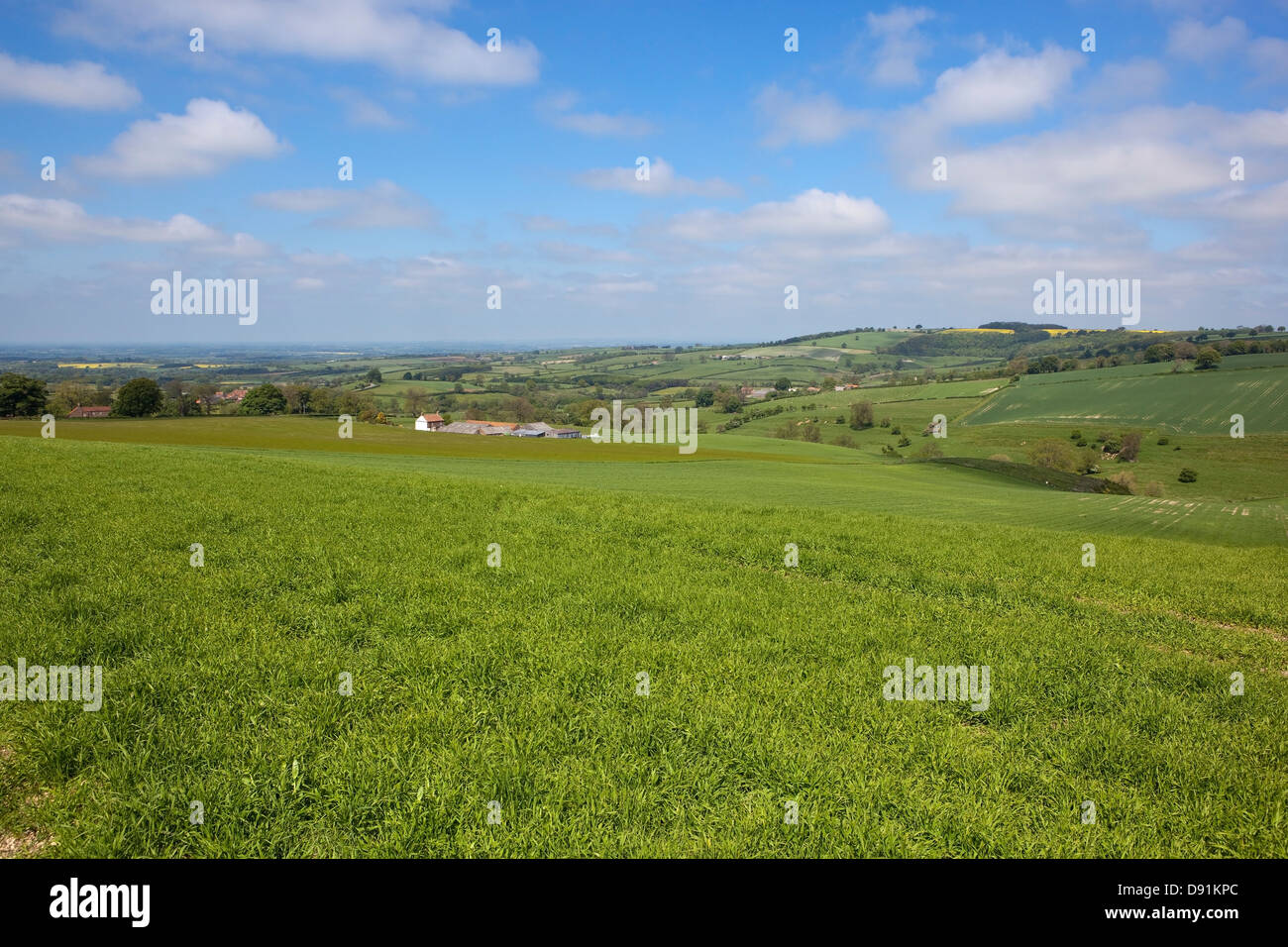 Dale green fields hi-res stock photography and images - Alamy