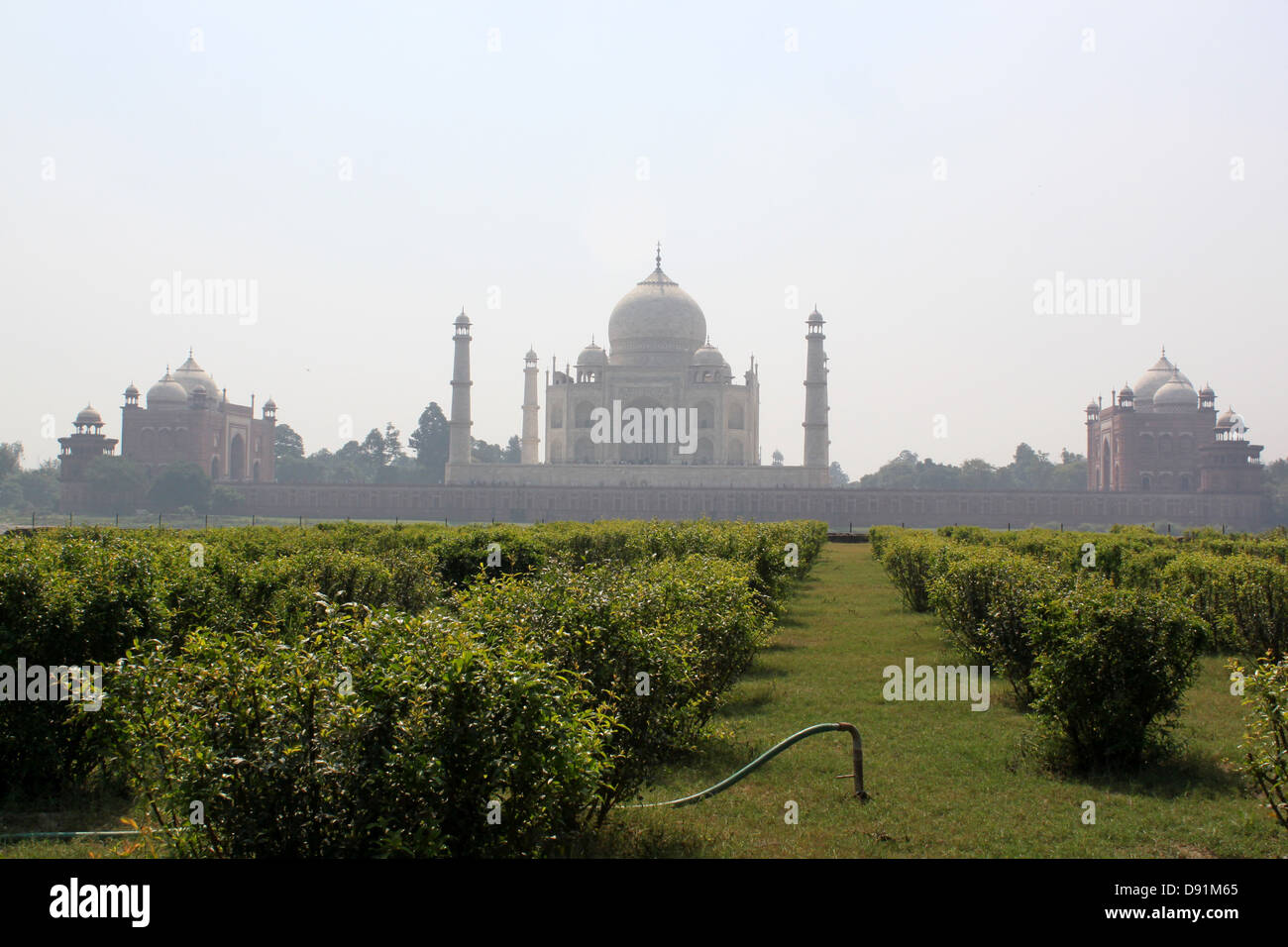 Mehtab Bagh, Location of Black Taj with Taj mahal in background on the ...