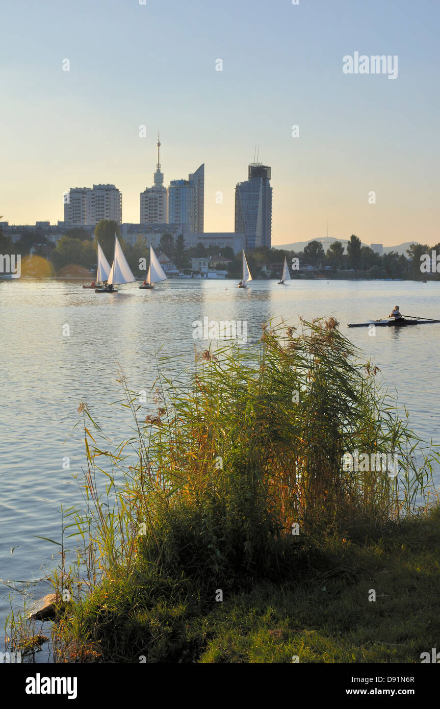 at the Lower Old Danube Stock Photo - Alamy