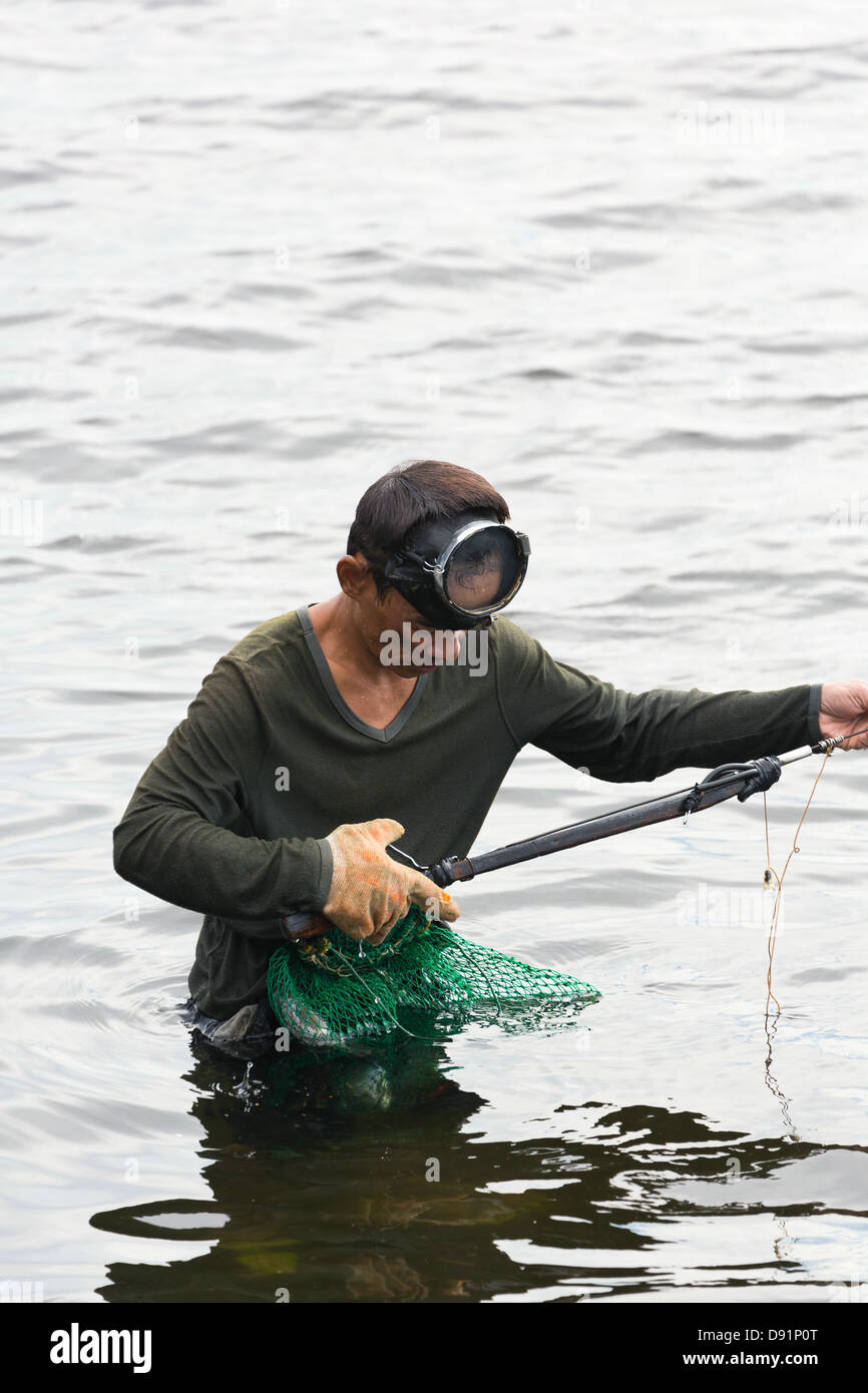 Fisherman diving in the Manila Bay, Philippines Stock Photo - Alamy