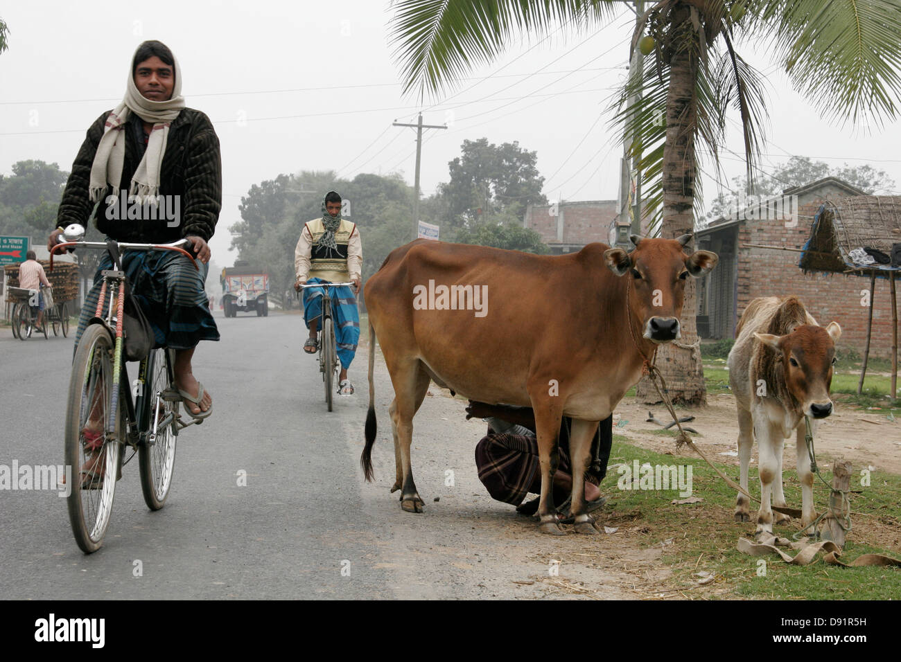 Street scene in rural Bangladesh Stock Photo - Alamy
