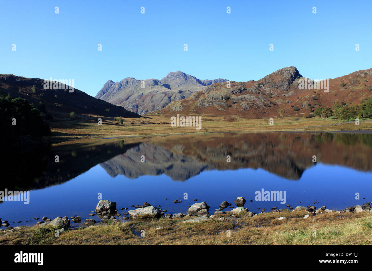Refections on the water hi-res stock photography and images - Alamy