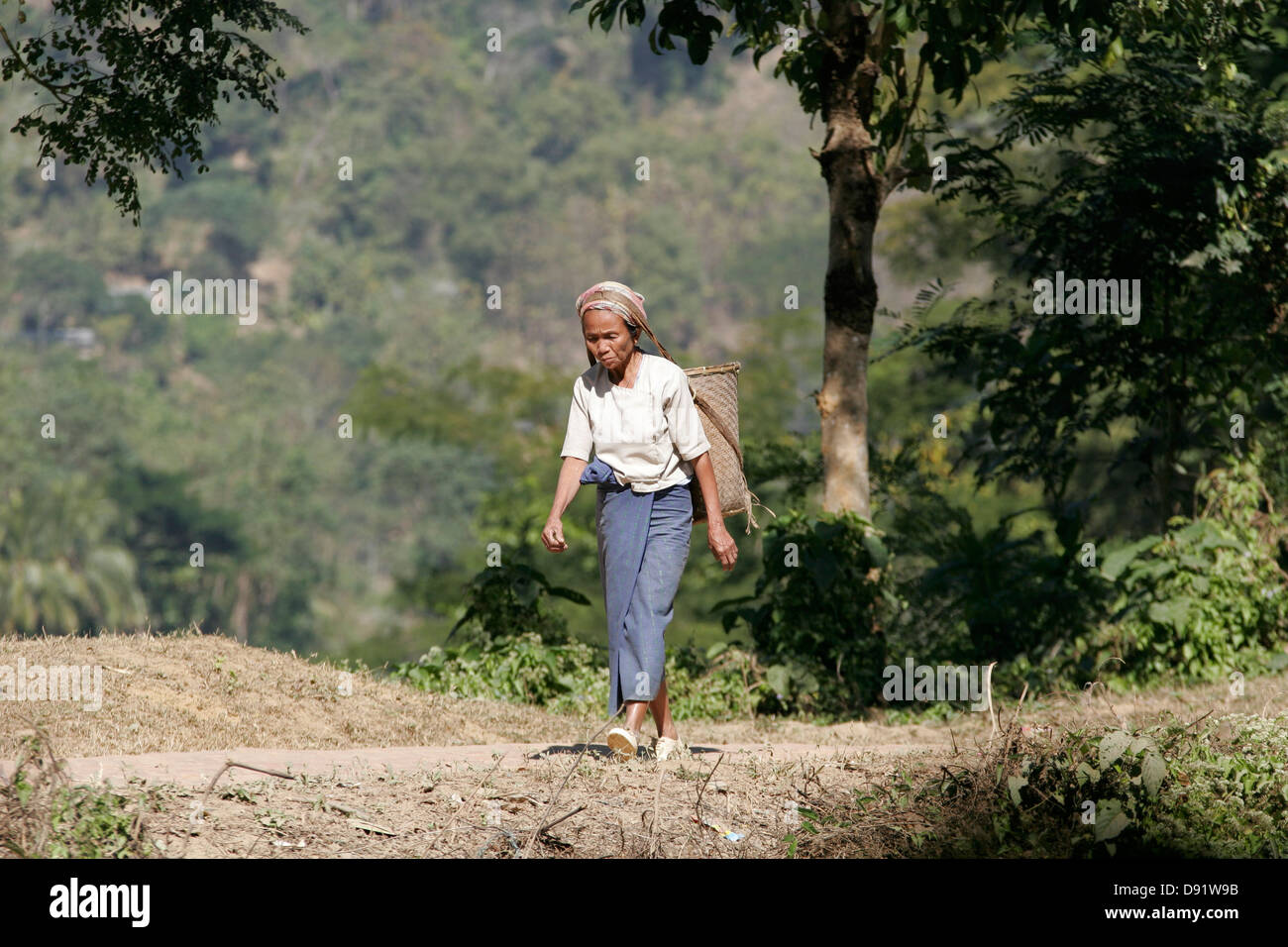 Tribal woman walking in the countryside, Ruma Bazaar, Chittagong Hill ...