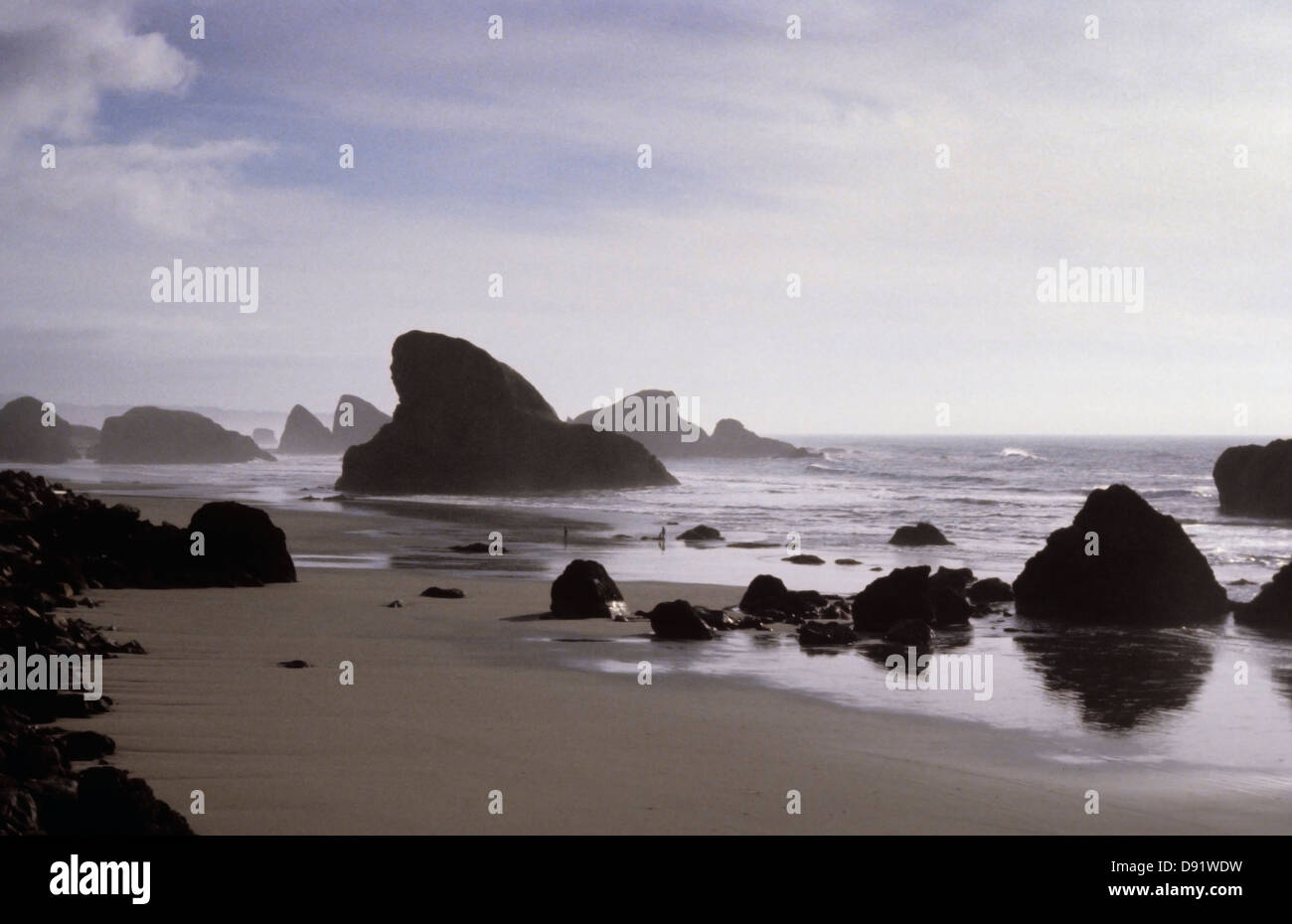 Sea Stacks on the Oregon Coast near Gold Beach 781226 014 Stock Photo ...