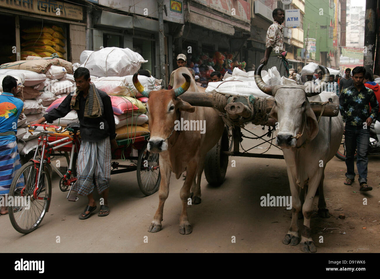 Driving ox cart hi-res stock photography and images - Alamy