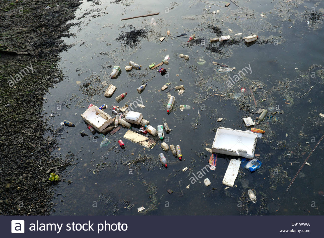 Non Polluted Environment High Resolution Stock Photography and Images ...