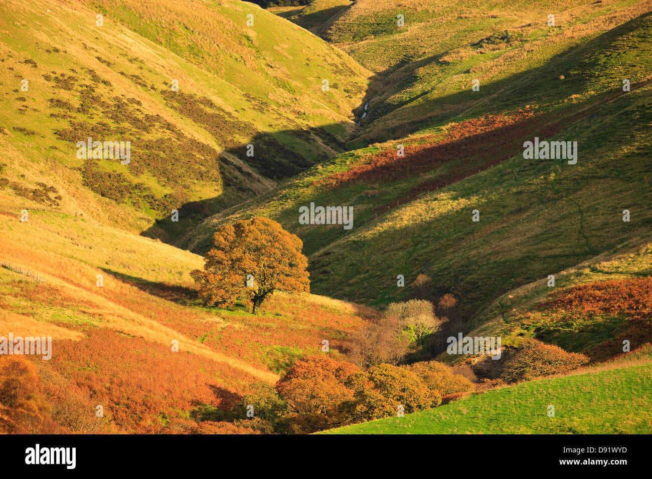 Autumn in rural countryside Tywi Valley Carmarthenshire Wales Stock ...