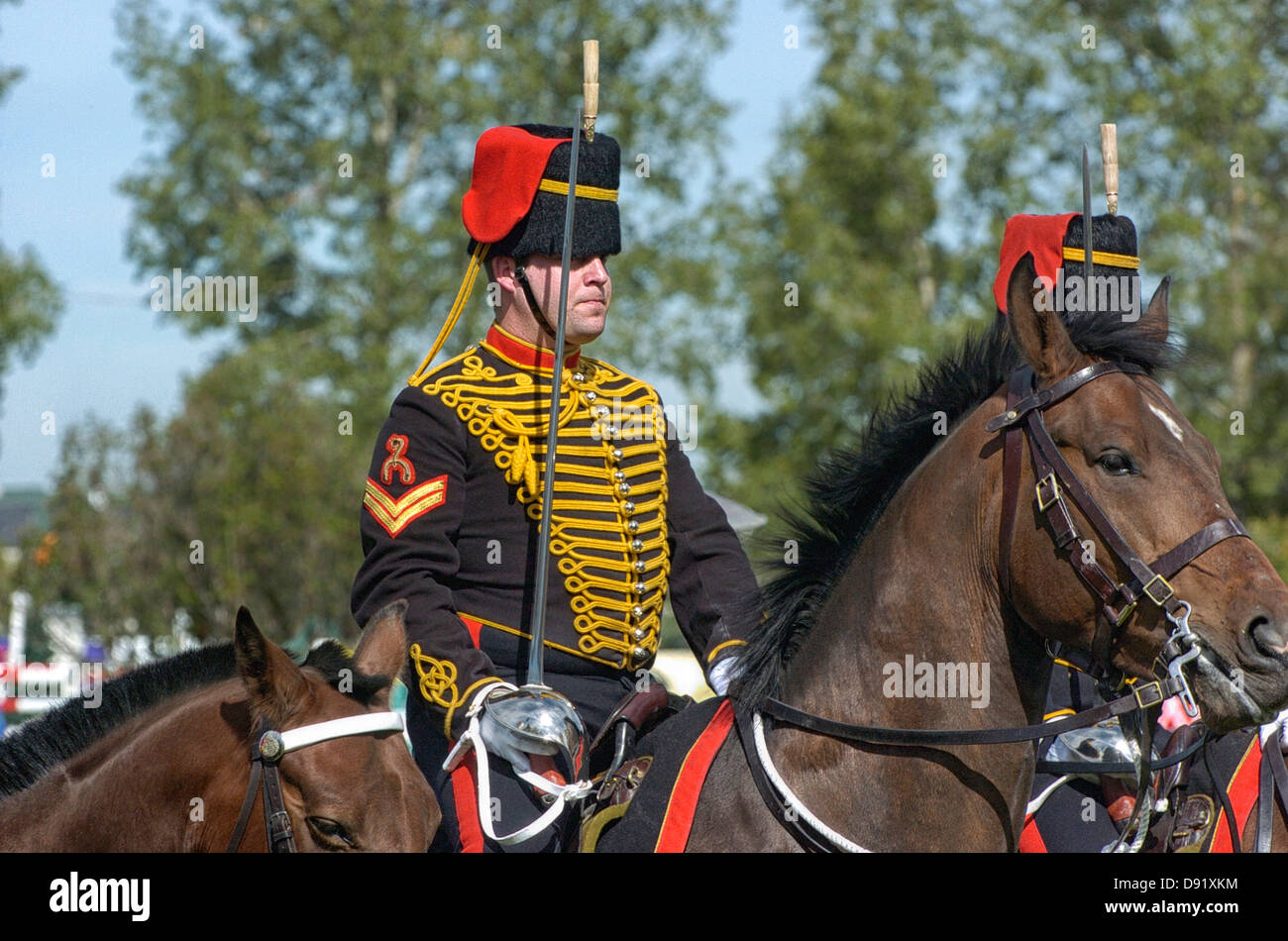 Guardsman of the Royal Horse Artillery, on duty in Canada Stock Photo ...