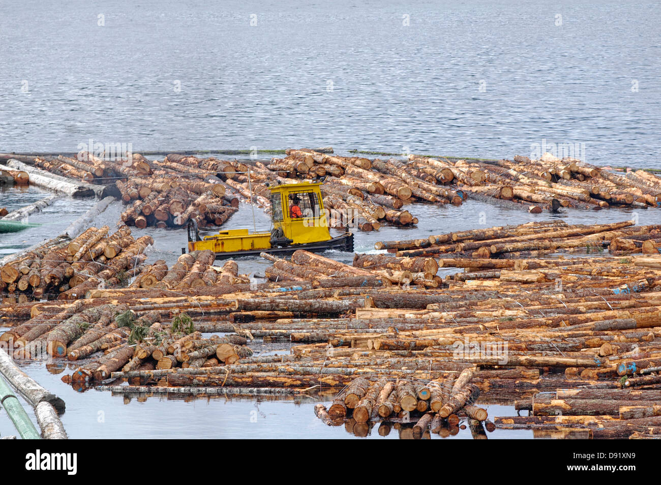 Logs sorting at Telegraph Cove, Vancouver Island, Canada Stock Photo ...