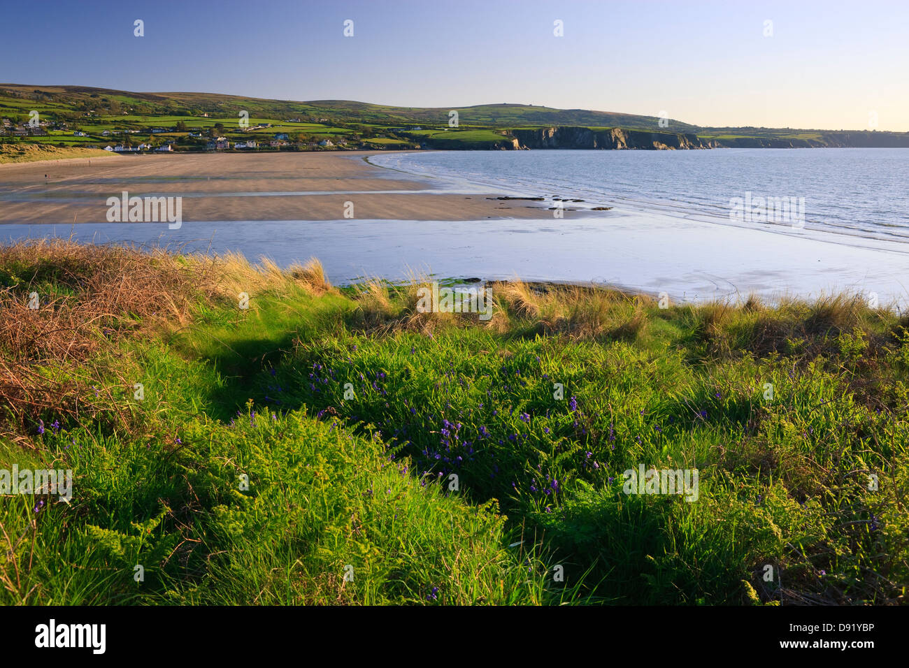 Newport Sands Newport Pembrokeshire Wales Stock Photo - Alamy